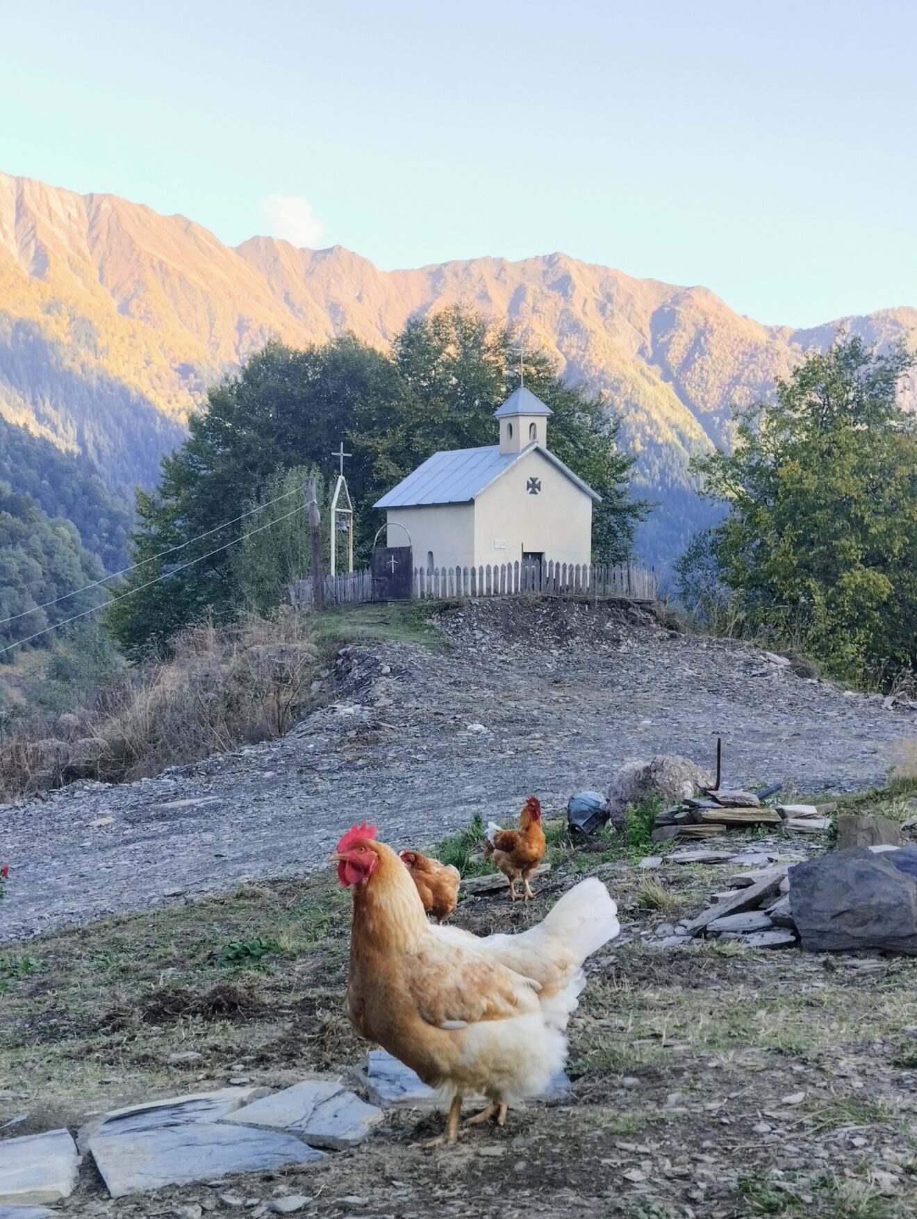 ジョージア本場のシュクメルリは日本と別物！3種類「シュクめぐり」のすすめ。【起源/食べ方/おすすめレストラン/本格レシピ】 | Ça voir ...