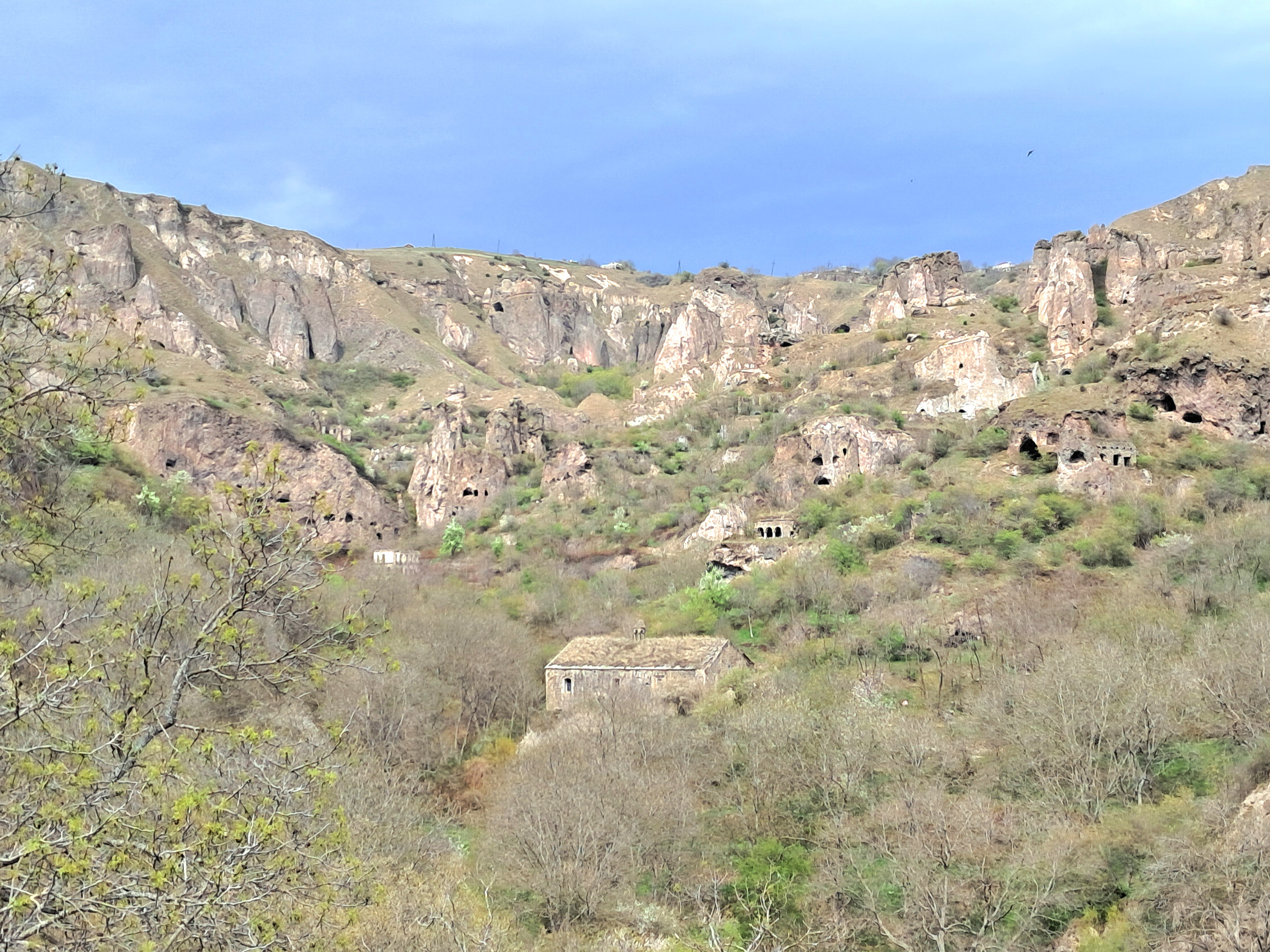 20250408_133019 | Ça voir! －さぼわーる－